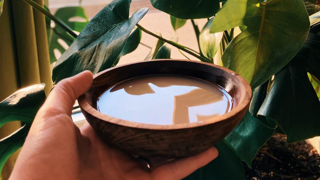 Menu - Muddy Water Kava & Tea (727) 520-0720